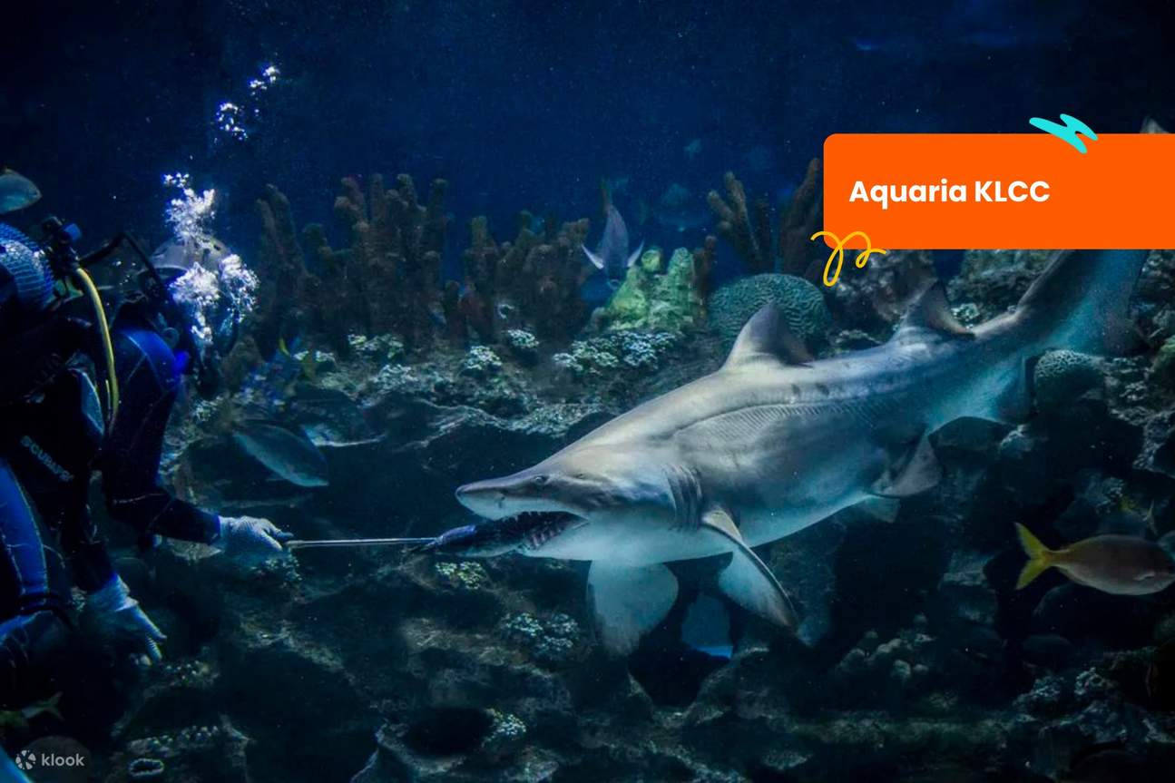 [Klook Exclusive] Kuala Lumpur Multi Attractions Pass - Bundle & Save! - Klook Philippines